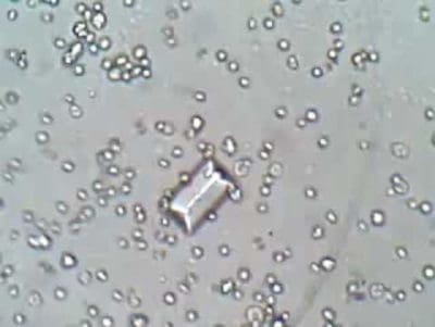 Case Study - Pure Polymer Solution