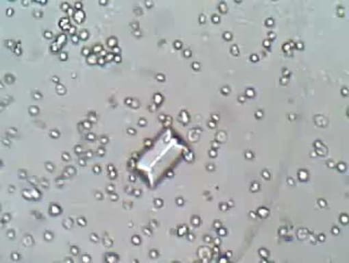 Case Study - Pure Polymer Solution